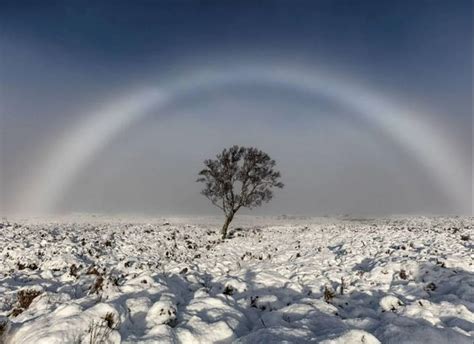 အဖြူရောင်သက်တံ့ Yoyarlay Digital Media And News