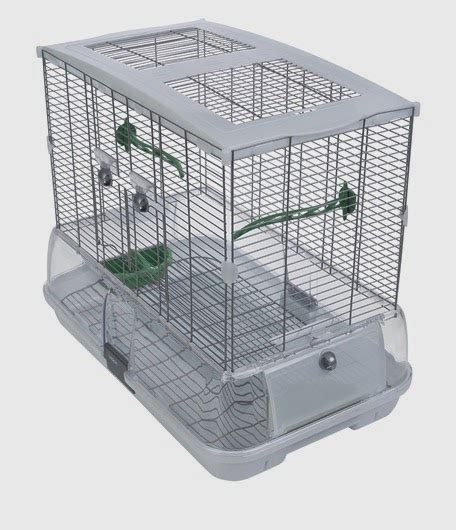 Cockatiel Breeder Malaysia