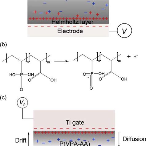 A Schematic Of Electric Double Layer At The Electrolyte And Electrode