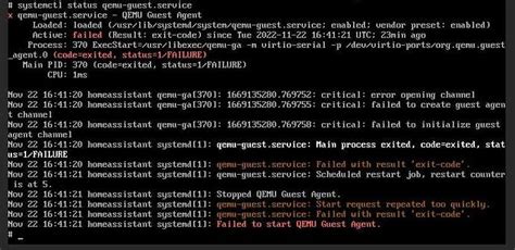 Truenas Home Assistant Os Failed To Start QEMU Guest Agent