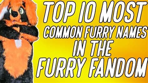 Top 10 Most Common Furry Names In The Furry Fandom Смотреть онлайн в