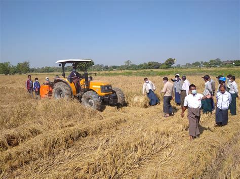 ကျောက်ဆည်မြို့နယ်တွင် မိုးစပါး ၅၂၇၉၉ ဧကစိုက်ပျိုးနိုင်ခဲ့ပြီး ၂၄၂၈၁