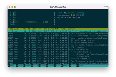 Htop Monitoring Linux Server Processes