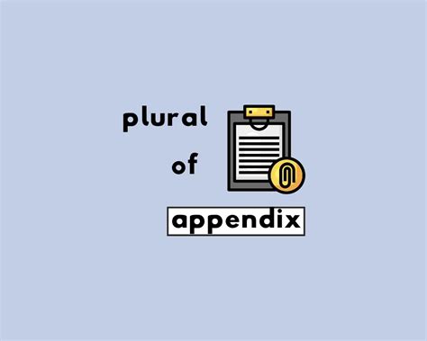 How To Use Appendix Plural Appendixes Appendices Grammarflex