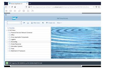 How To Integrate Amazon WorkSpaces With SAP Single Sign On AWS For SAP