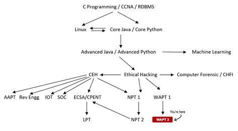 Web Application Penetration Testing Level II ISOEH