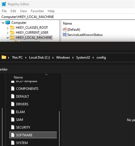 Issue With Password Textbox Not Appearing On Login Screen After