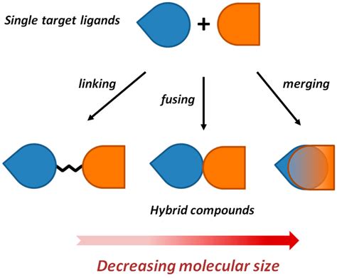 Navigating The Chemical Space Of Multitarget Directed Ligands From Hybrids To Fragments In