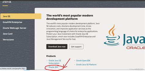 Java从jdk8升级到jdk11简单易懂小白版过程 Csdn博客