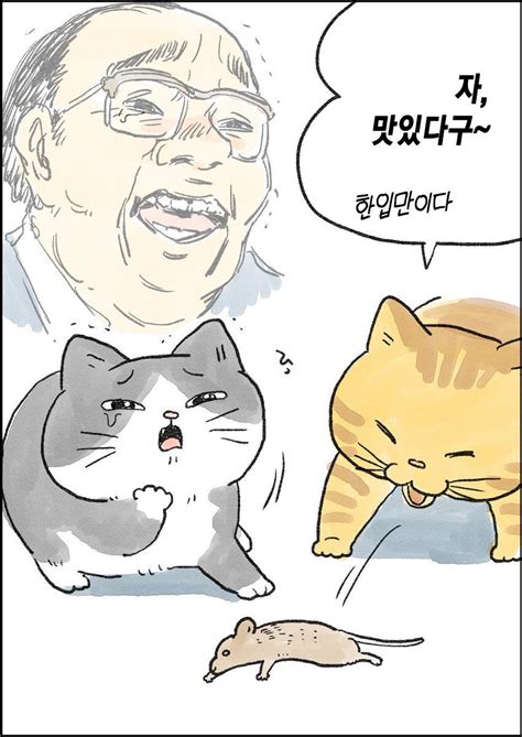 고양이는 정말 귀여워 고양이로 환생한 아저씨 만화 Daum 카페
