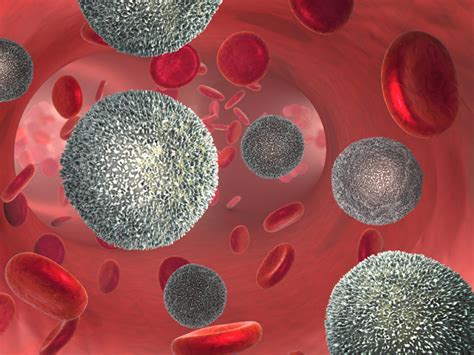 Amsterdam Scientists Investigate Why Immunotherapy Fails In Chronic