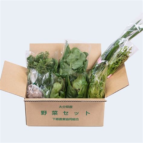 旬の野菜セット大〔9～10品〕※販売休止中 野菜 下郷農協オンラインショップ「さとつむぎ」