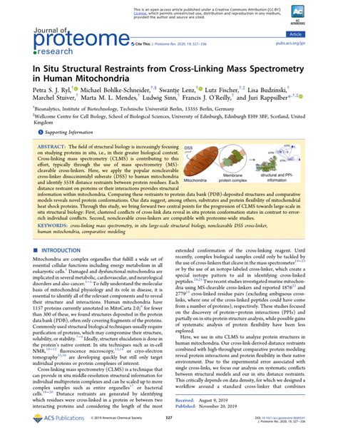 Pdf In Situ Structural Restraints From Cross Linking Mass Spectrometry In Human Mitochondria