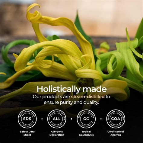 Gya Labs Ätherisches Ylang Ylang Öl 10 Ml Shop Apotheke