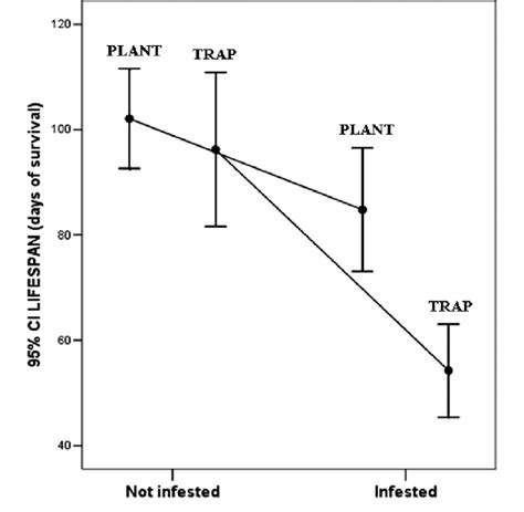 Interactive Effect Of Infestation Status And Capture Method On Weevils