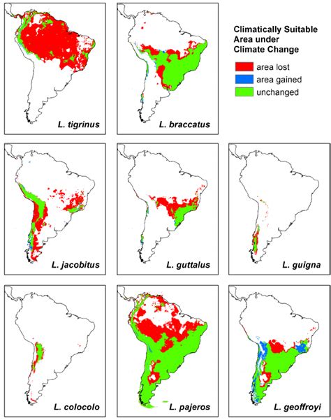 Projection Of Climatically Suitable Areas For Neotropical Felids Under Download Scientific