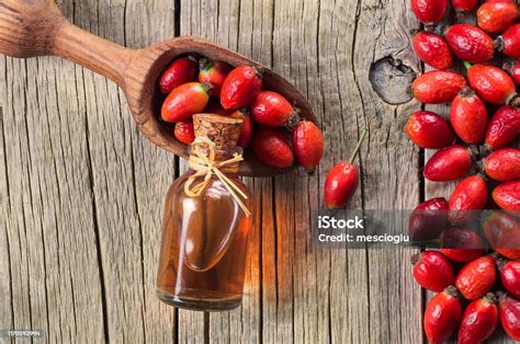 나무 소박한 배경에 신선한 장미 엉덩이 과일과 로즈힙 씨앗 에센셜 오일의 유리 병 신선한 개 장미와 도그 로즈 오일 0명에 대한 스톡 사진 및 기타 이미지 Istock