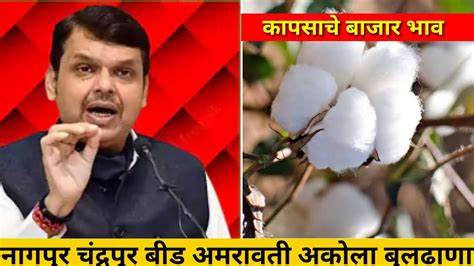 या जिल्ह्यात मिळतोय कापसाला इतका भाव पाहा सविस्तर Kapus Bhav