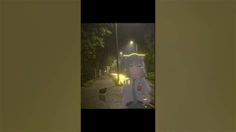 So Cute 🫶🏿🫶🏿🫶🏿 Xuhuong Viralshort Foryou Fyp Maxwell Cat Fypシ゚ Funnyshorts Funnyshort