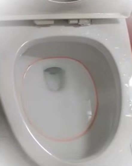 화장실 변기 분홍색 띠 충격 실화 원인부터 해결책까지 싹 다 알려드립니다