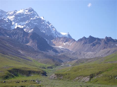 Tundra Imagui