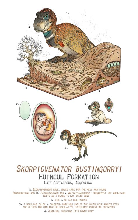 Skorpiovenator Art By Stievenvdp Rpaleontology