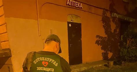 В Санкт Петербурге есть КОТОПАТРУЛЬ Пикабу