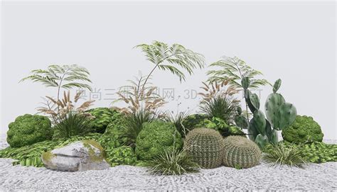 现代苔藓植物 庭院植物小品 蕨类植物 肾蕨 仙人掌13dmax模型 植物合集3dmax模型