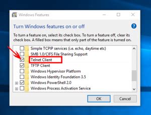 How To Enable Telnet Server In Windows TechWiser