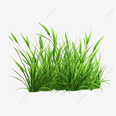 العشب المعزول ملف Png مصنع لون أخضر عشب Png صورة للتحميل مجانا