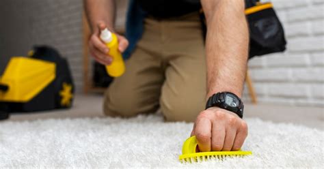Cómo Limpiar Alfombras Sin Máquina Métodos Caseros Para Quitar Manchas Y Malos Olores Gente