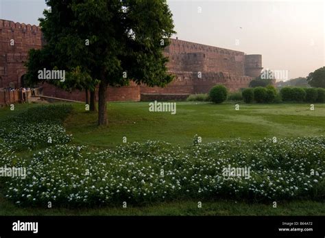 The Red Fort Built By The Moghul Emperor Akbar Agra Uttar Pradesh