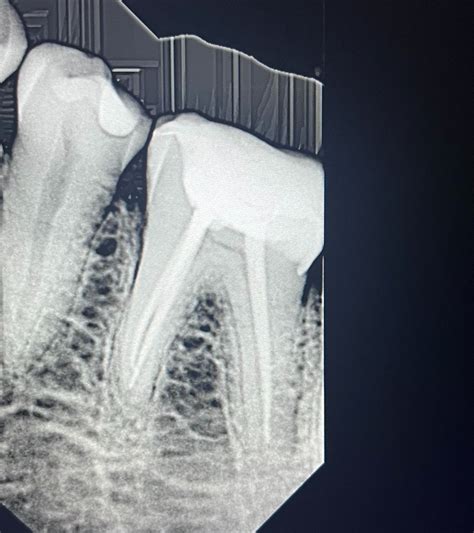 Gratitud Dr Ashmita Sinha