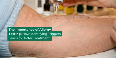 The Importance Of Allergy Testing How Identifying Triggers Leads To