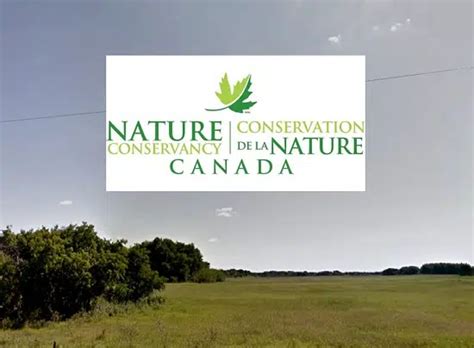Nature Conservancy Project Highlighted West Of Regina Near Lonetree