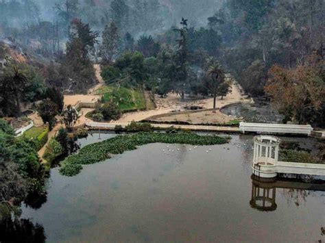 Sospechosos De Incendio En Jardín Botánico De Viña Quedan En Libertad