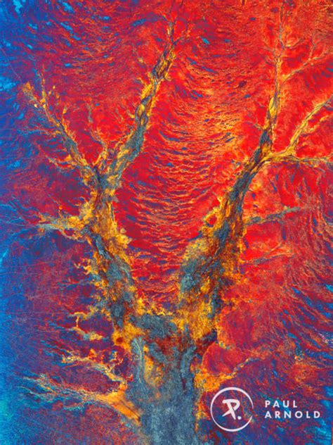 Dendritic 80cm