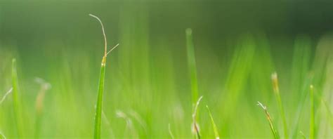 绿色护目壁纸 绿色护目图片 千叶网搜索