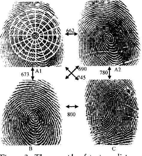 Figure 3 From An Automatic Fingerprint Identification System Using Multiple Classifiers