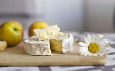 What Are Brie S Proven Health Benefits Fast Eat