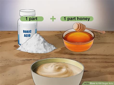 3 Ways To Kill Sugar Ants Wikihow