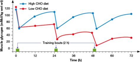 Nutritional Enhancement Of Performance Flashcards Quizlet