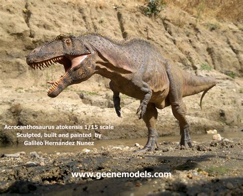 Acrocanthosaurus Cool Dino Facts Wiki Fandom Powered By Wikia