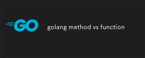 golang method vs function golang php cn