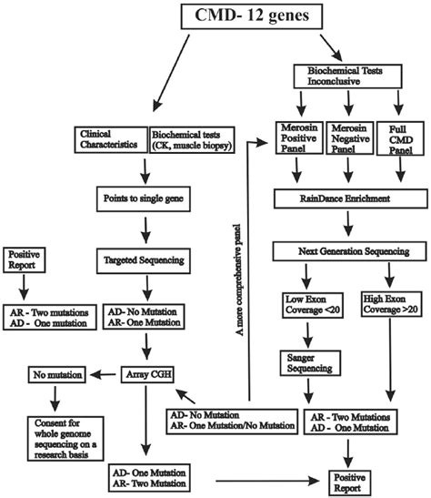 Congenital Muscular Dystrophy Next Generation Sequencing Algorithm The