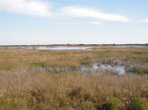Public Domain Picture Marsh ID 13980912015049 PublicDomainFiles