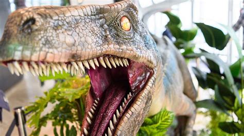 Jurassic World Café Things To Do In Singapore
