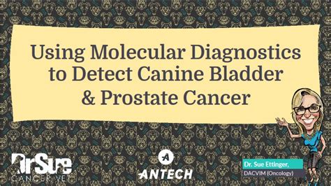 Using Molecular Diagnostics To Detect Canine Bladder And Prostate