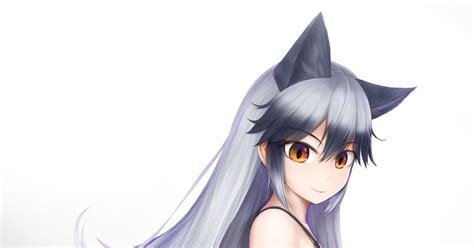 けものフレンズ 은여우 스테챠のイラスト Pixiv