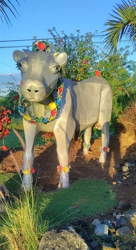 🇵🇷 Escultura En Homenaje Al Festival De La Novilla En San Sebastián Pr